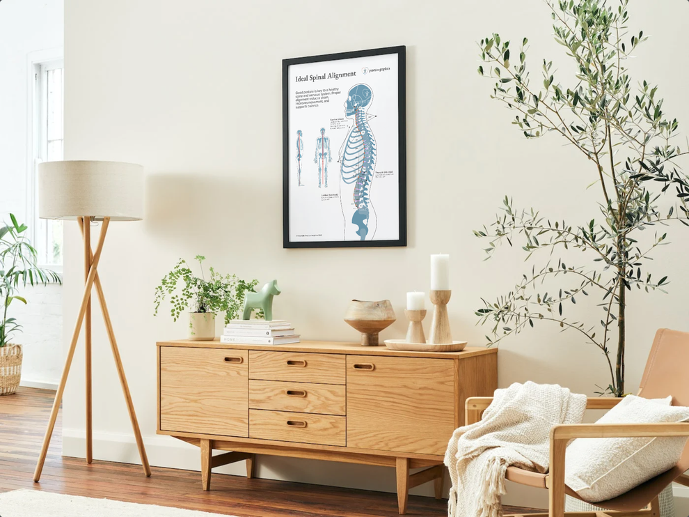Ideal spinal alignment Posters – Practice Graphics