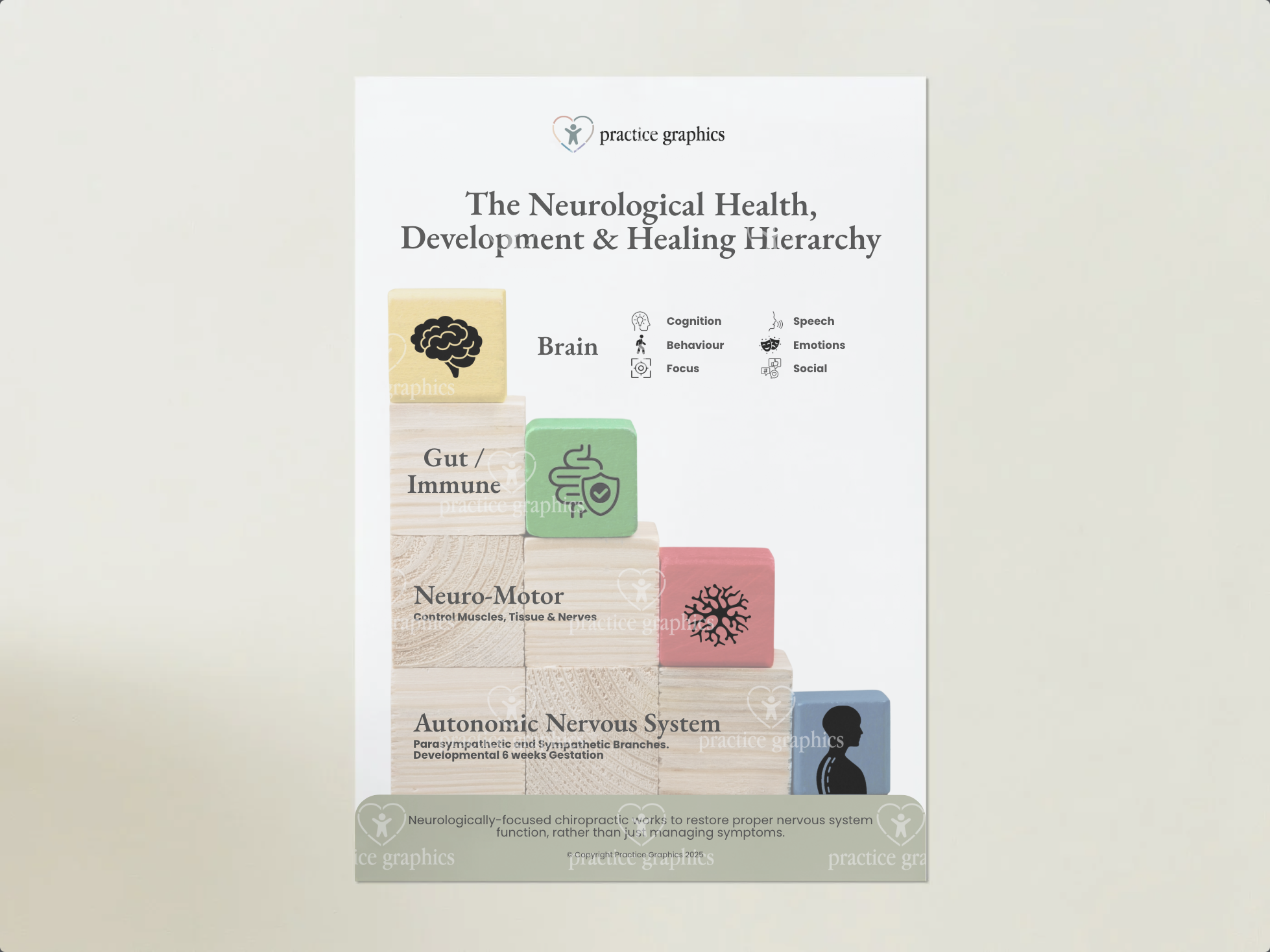 The Neurological Health, Development & Healing Hierarchy Poster ...