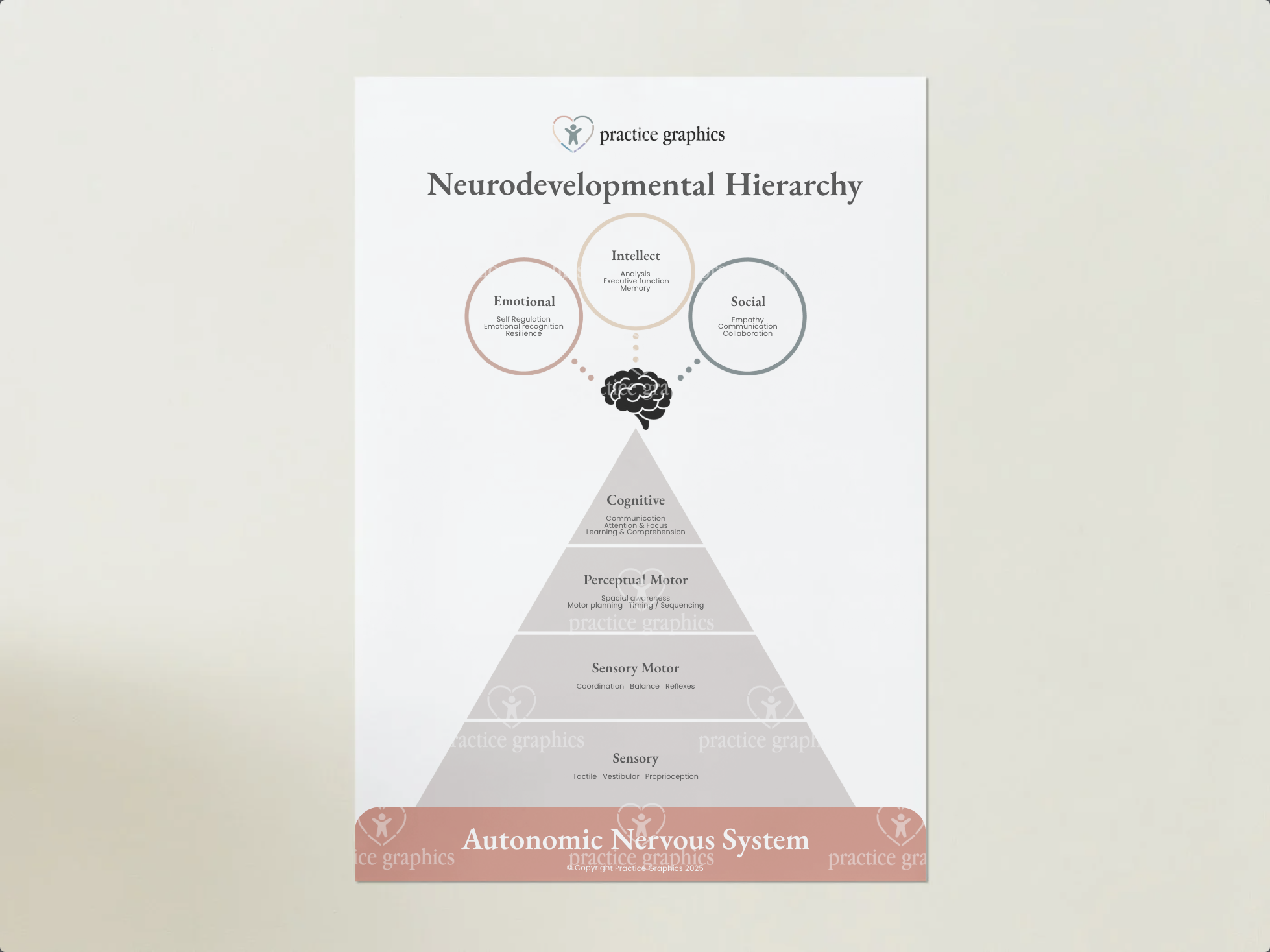 Neurodevelopmental Hierarchy – Practice Graphics