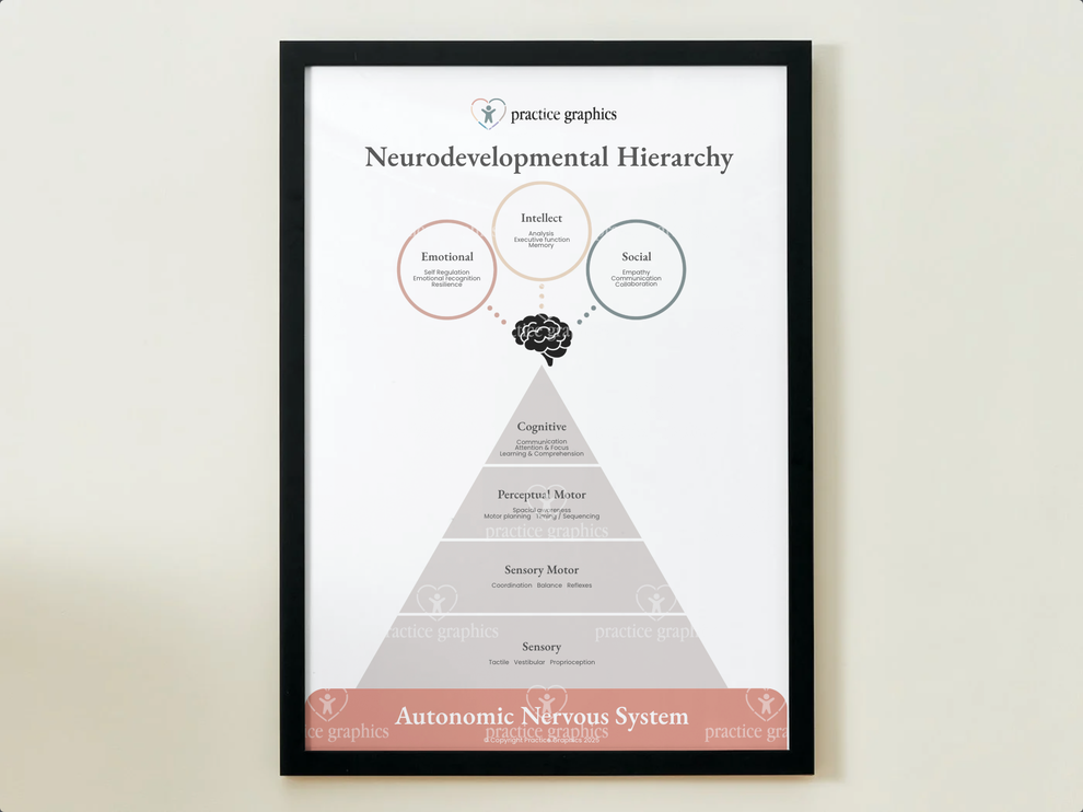 Neurodevelopmental Hierarchy – Practice Graphics